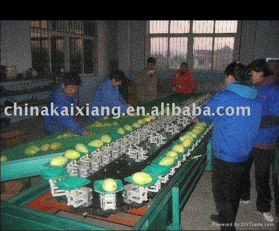 mango grading machine - XGJ-SZ - Kaixiang (China Manufacturer) - Other ...