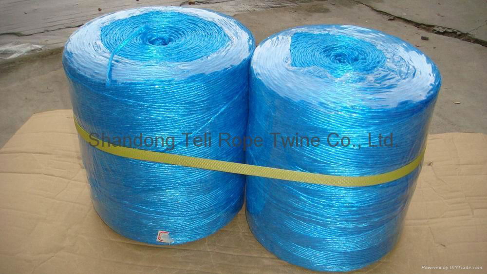 PP split film rope,garden twine - Teli twine (China Manufacturer ...