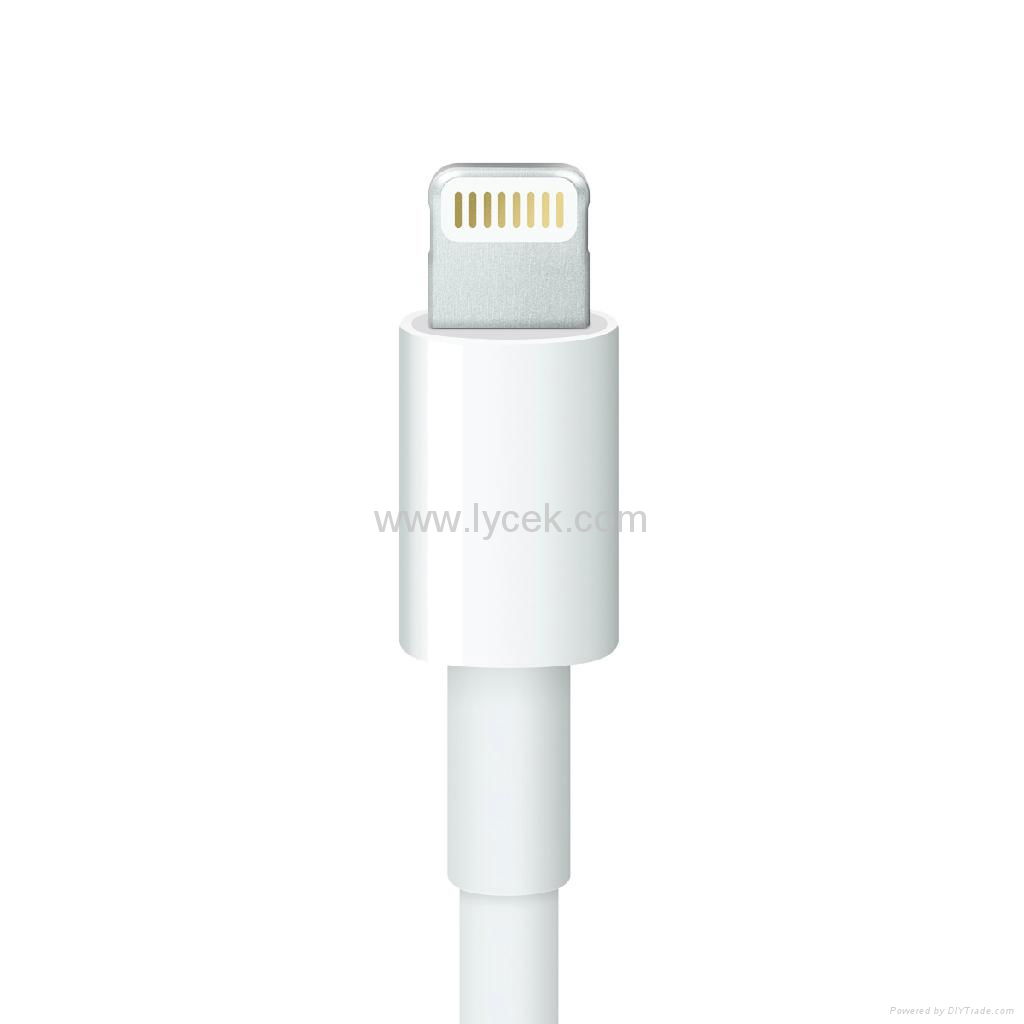 iPhone 5s Lightning to 30-pin Adapter Cable - Lycek (China Manufacturer ...
