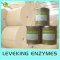 Enzymatic deinking agent - LPK-CD - Leveking (China Manufacturer ...