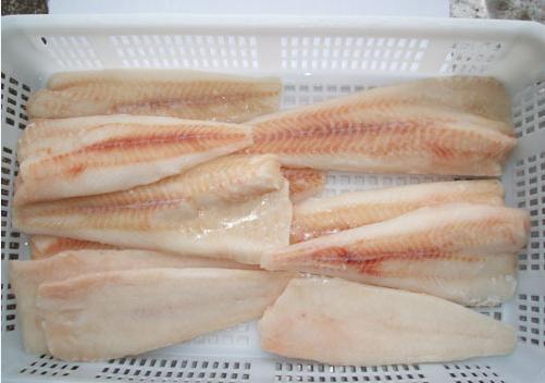 frozen alaska pollack fillet - 032 - KINGHONG (China Manufacturer ...