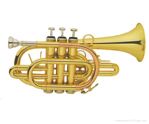 Trumpet/Pocket Trumpet /Bach Trumpet - XTR001 - XuQiu,OEM (China ...