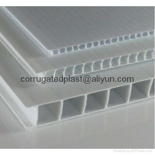 Correx Board - 2440x1220mm - TFL-CORREX (China Manufacturer) - Printing ...
