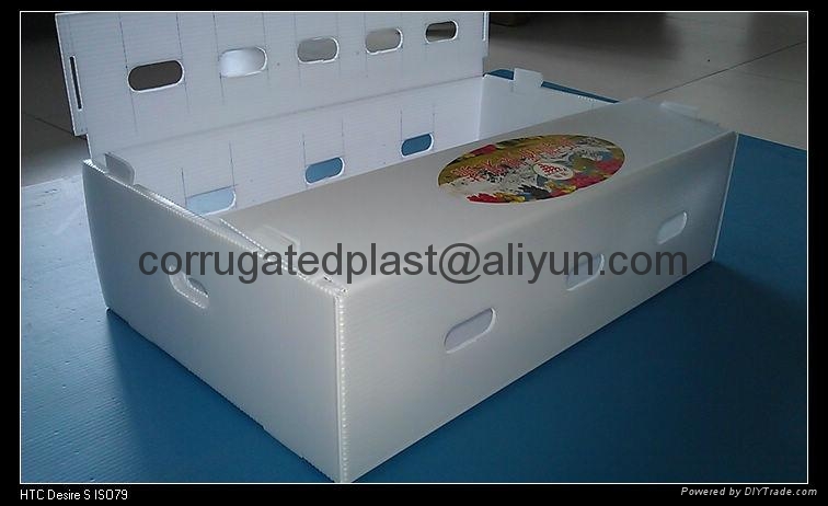 Corrugated Plastic Fruits Tray / Vegetables Box - As customerized - TFL ...