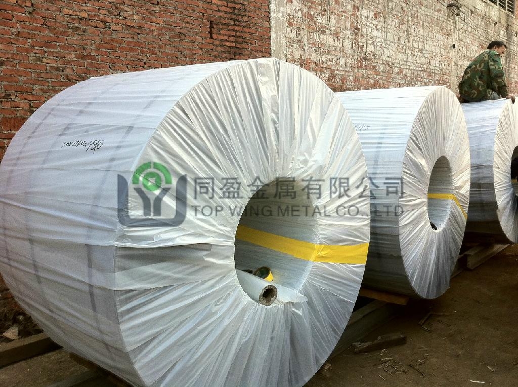 Stainless Steel Coils of Top Wing Metal - Top Wing Metal Co., Ltd ...