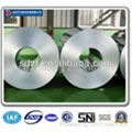 Hot dip Galvanized Steel Coil - HGI-003 - Zhongtian (China Manufacturer ...