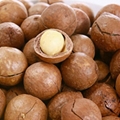 Hazelnut - 100% - LX (China Manufacturer) - Nuts Products - Processed ...