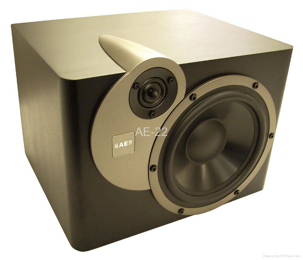 Professional Speaker - AE-22 - Acoustic Energy (Macau Trading Company ...