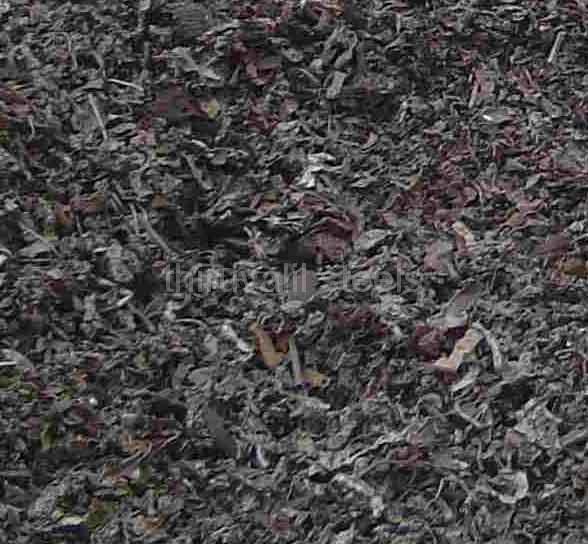 SHREDDED SCRAP - ISRI 211 (India Trading Company) - Other Metallic ...