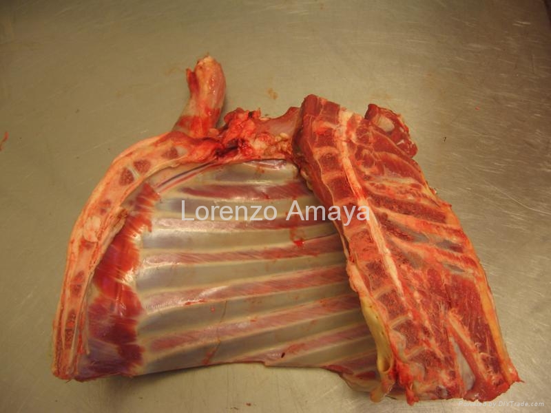 Whole Frozen Mutton 6 way Cut ( IWP ) (Argentina Manufacturer) - Meat ...