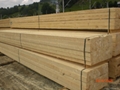 looking for Timber - Construction timber (Libya Trading Company ...