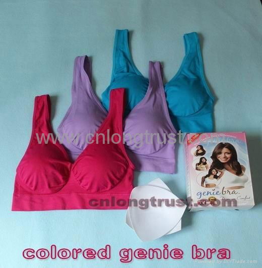 colored genie bra with removal pads - LT-7016B (China Manufacturer ...