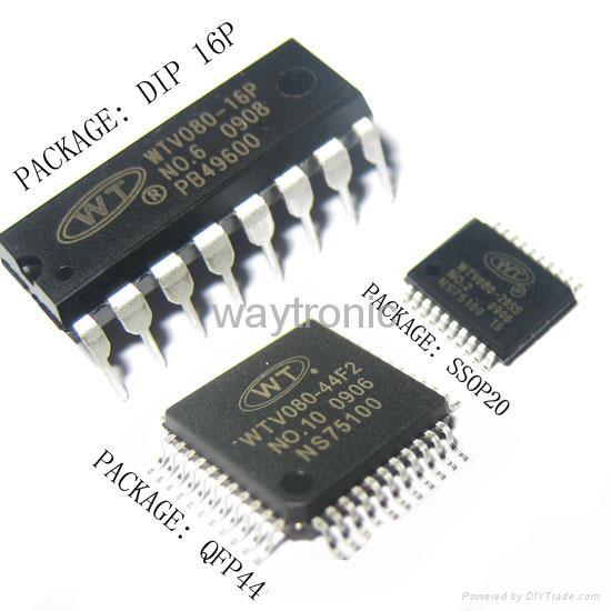 VOICE CHIP (OTP) - WTV SERIES - WT (China Manufacturer) - Integrated ...