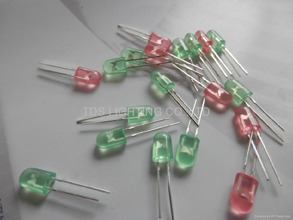 5mm oval led for display - TDS-5564 - TDS (China Manufacturer) - Other ...