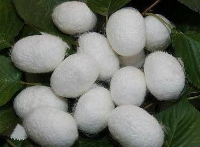 sericin powder - PS-SS - purestar (China Trading Company) - Personal ...