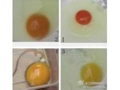 CAROPHYLL Yellow (China Manufacturer) - Agriculture Product Stocks ...