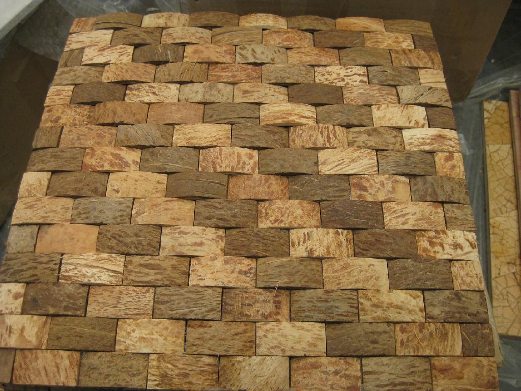 Enviromental Rectangle Beautiful Coconut Shell Mosaic Wall Tiles - JP ...