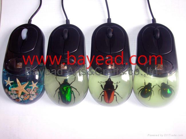Real bug in Amber USB 3D Optical Computer Mouse - DC0101 - BAYEAD ...