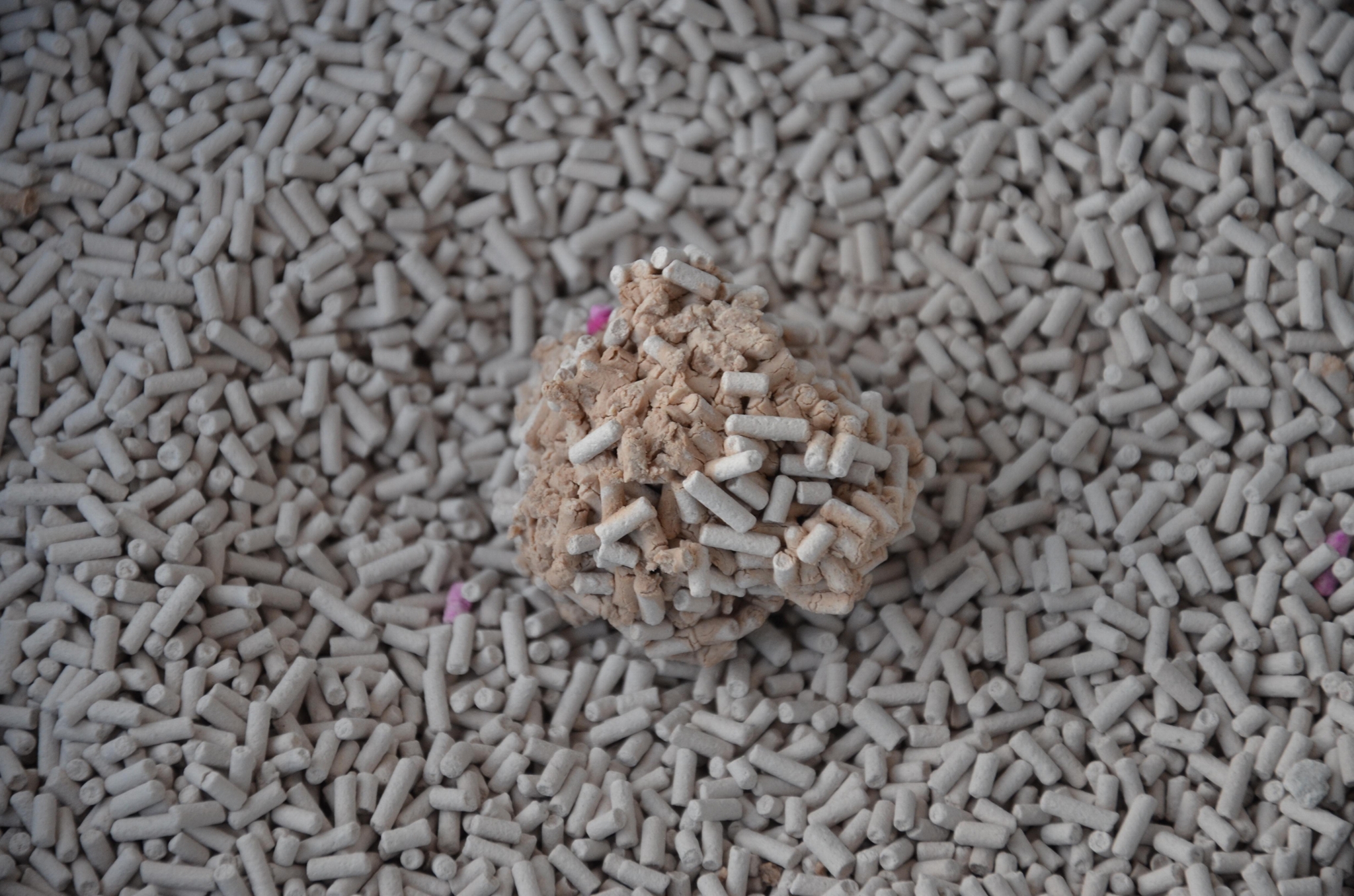 Clumping Dust-free Bentonite stick cat litter 5kg - KYPT001 - JIE MI ...