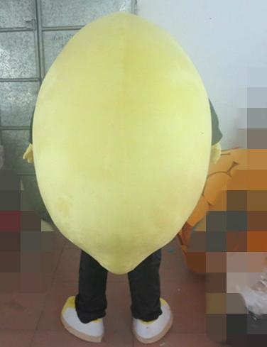 Lemon mascot costume adult Lemon mascot custom - sm 307 (China ...