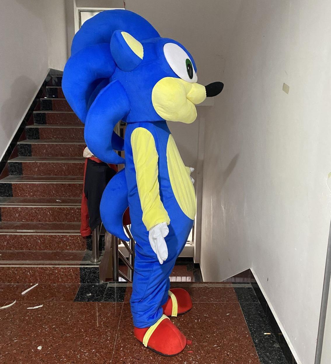 sonic the hedgehog mascot costume adult sonic mascot - sm109 (China ...