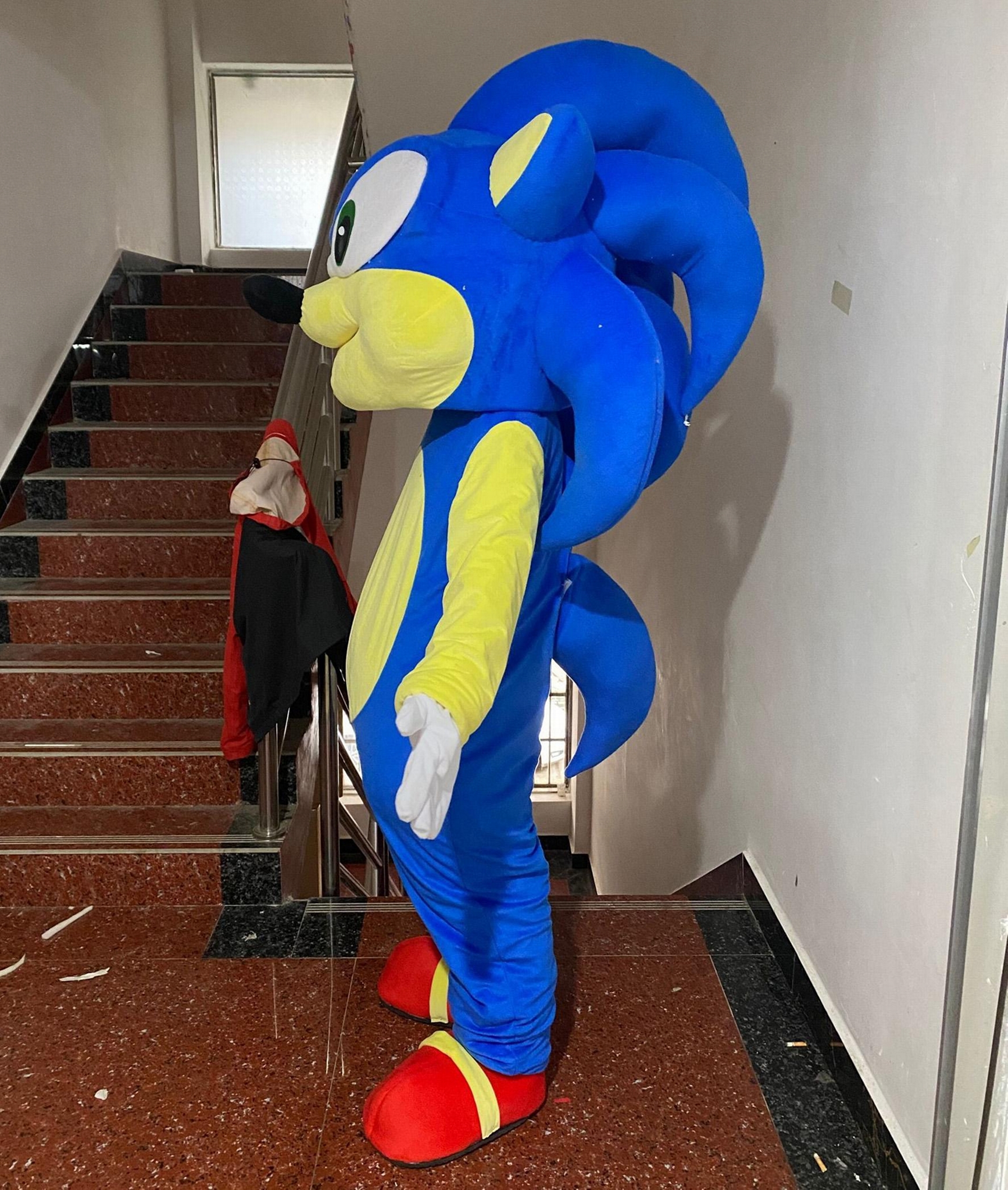 Sonic The Hedgehog Mascot Costume Adult Sonic Mascot Sm109 China