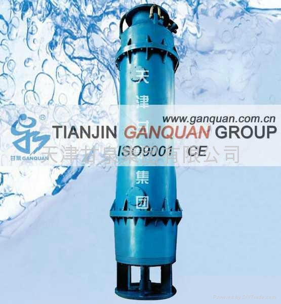 QJX系列下吸式潜水电泵 - 天津市 - 生产商 - 产品目录 - 天津甘泉集团环保泵业有限公司