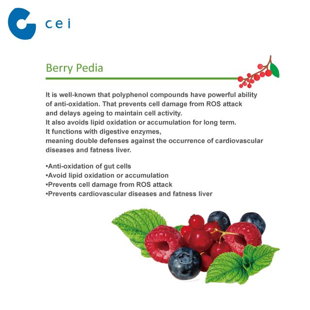 Health Care Supplement Digestive Enzymes Supplements Berry and Enzyme ...