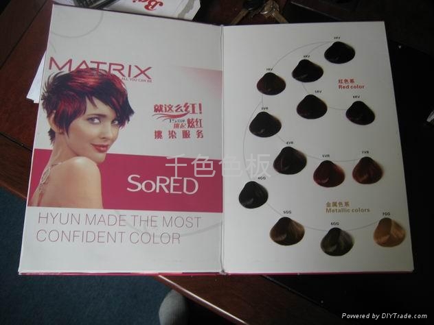 Hair color cards hair swatches - B2 - Thousands of color swatches ...