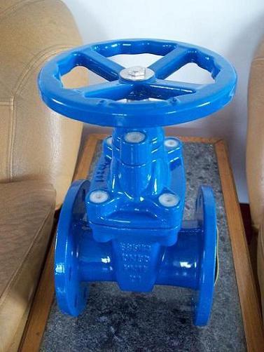 (BS) Cast Iron Gate Valve (NRS) - 616-F - REX,BV,MUELLER,MILLER (China ...