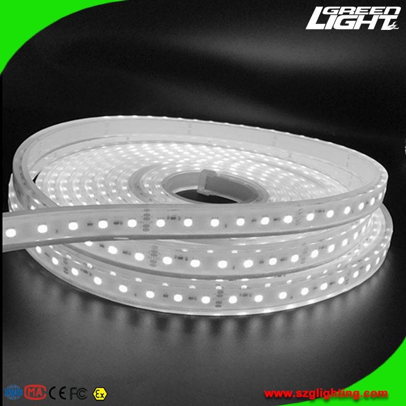 Waterproof IP68 LED Flexible Light Strip for Underground Mines Lighting ...