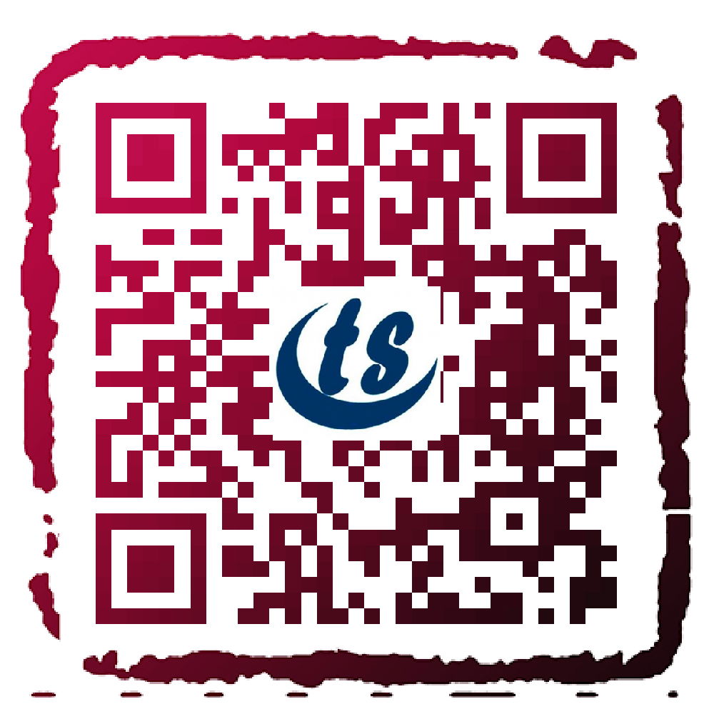 TSP-20 flush portable drilling rig oil prospecting - ts (China ...