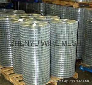 gal welded mesh - ZY-WM002 - ZHENYU (China Manufacturer) - Wire Mesh ...