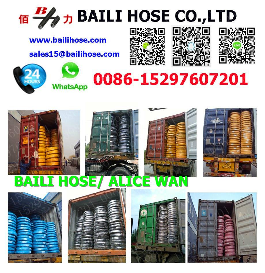 EXPORT HYDRAULIC HOSE CONTAINER - 4SH - BAILI OEM BRAND (China ...