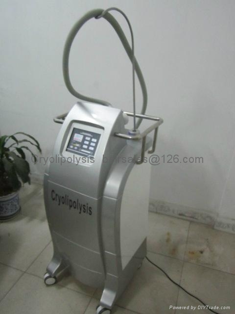 Lipo Freeze Cryolipolysis Cool Sculpting Slimming Machine BRG80 - brg80 ...
