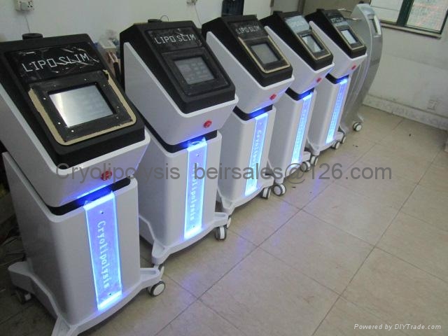 Lipo Freeze Cryolipolysis Cool Sculpting Slimming Machine BRG80 - brg80 ...