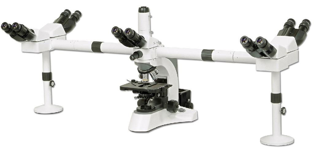 BS-2080MH Multi-Head Microscope - BestScope (China Manufacturer ...