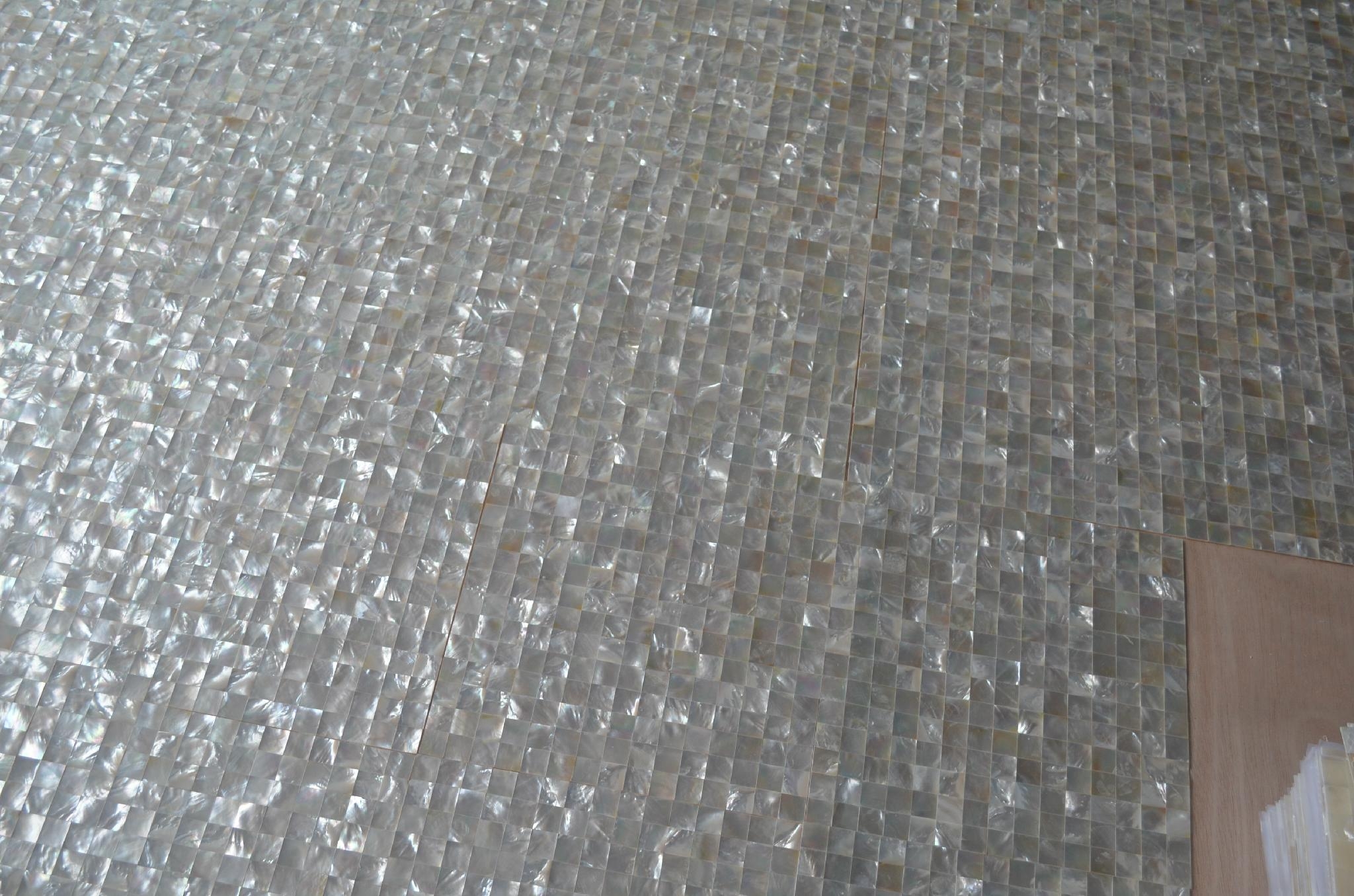 澳洲白蝶贝贝壳马赛克无缝密拼装饰板 - 江西省 - 生产商 - 产品目录 - 江西新腾贝类工艺有限公司