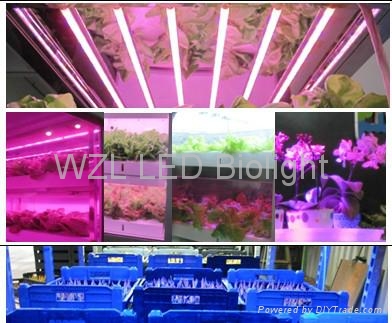 Plant Factory LED light - BL-PT06MRB - ND (Canada Services or Others ...