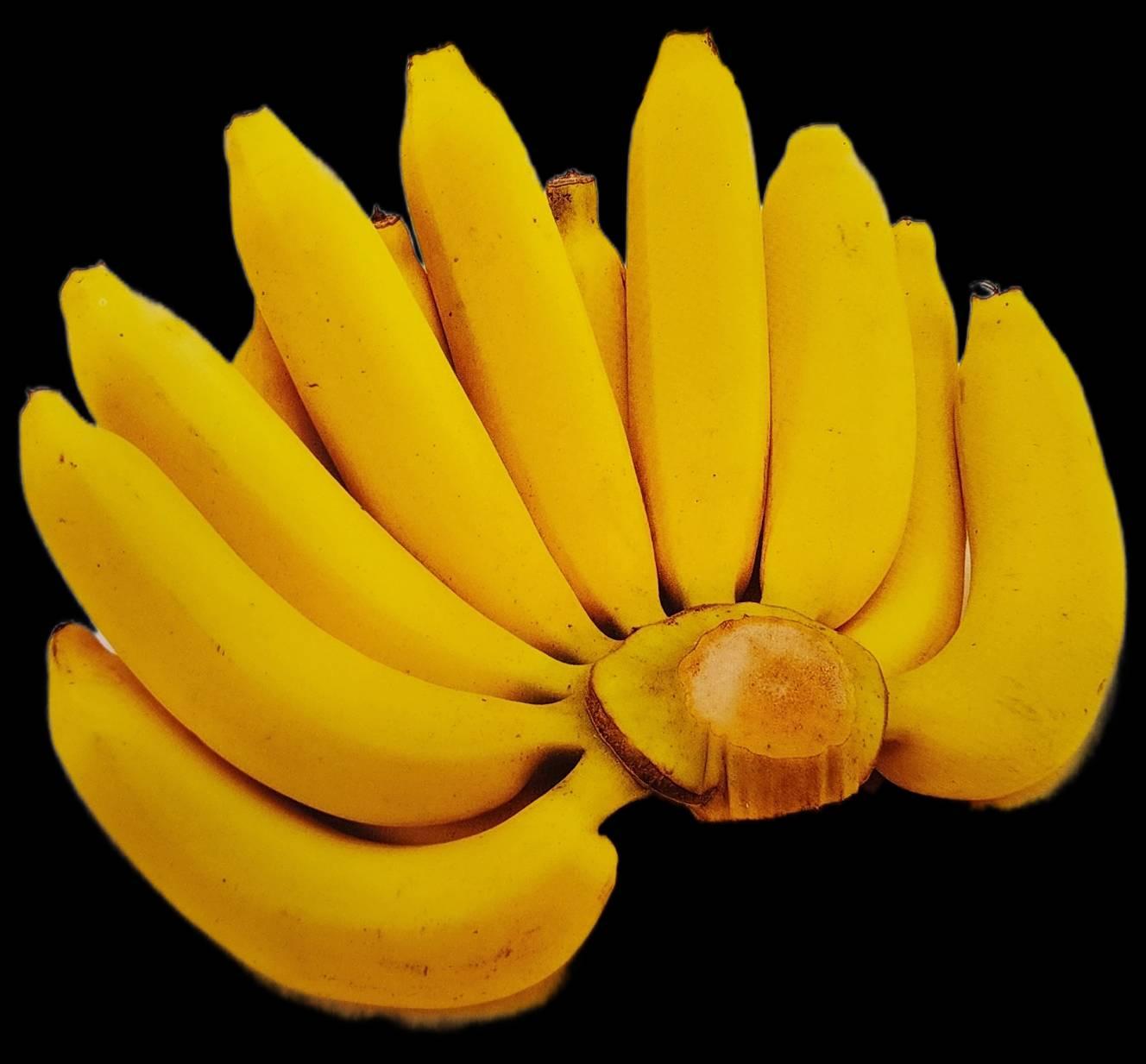 Banana Extract Powder - Cornex (Thailand Manufacturer) - Plant Extract ...