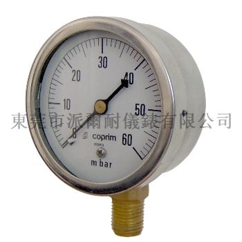 Millibar gauges with capsule elements - China - Manufacturer - Product