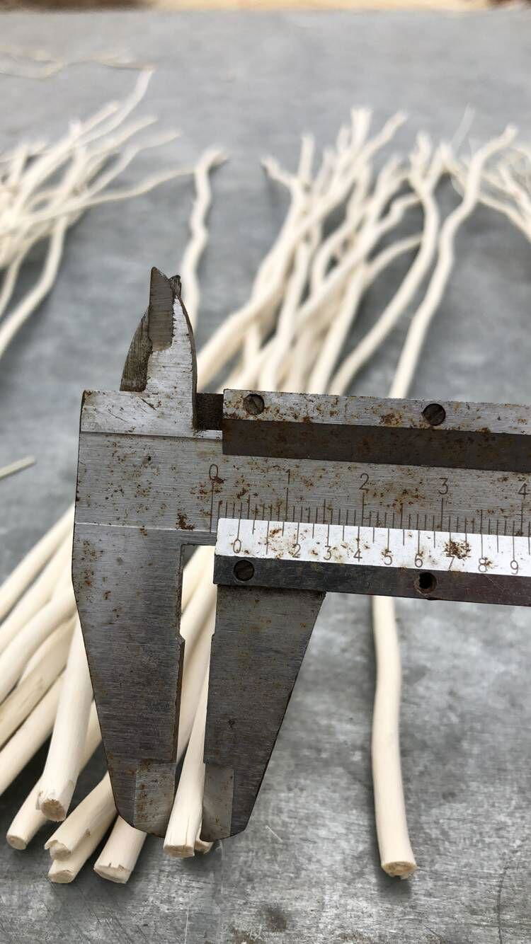 willow reed sticks (China Trading Company) - Flower, Bonsai ...