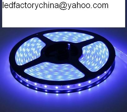 5050 Waterproof Flexible LED STRIP LIGHTS 12v - ulight (China ...