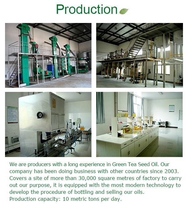 Green tea seed oil (China Manufacturer) - Plant Animal Oil ...