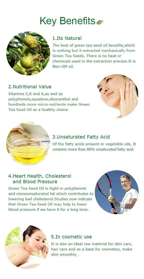 Green tea seed oil (China Manufacturer) - Plant Animal Oil ...