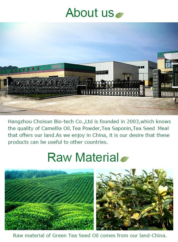 Green tea seed oil (China Manufacturer) - Plant Animal Oil ...