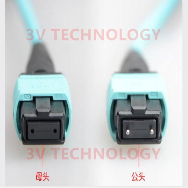 Custom MPO/MTP Patch Cord - 定制 - 3V-TECH (China Manufacturer) - Other Communication Equipment ...