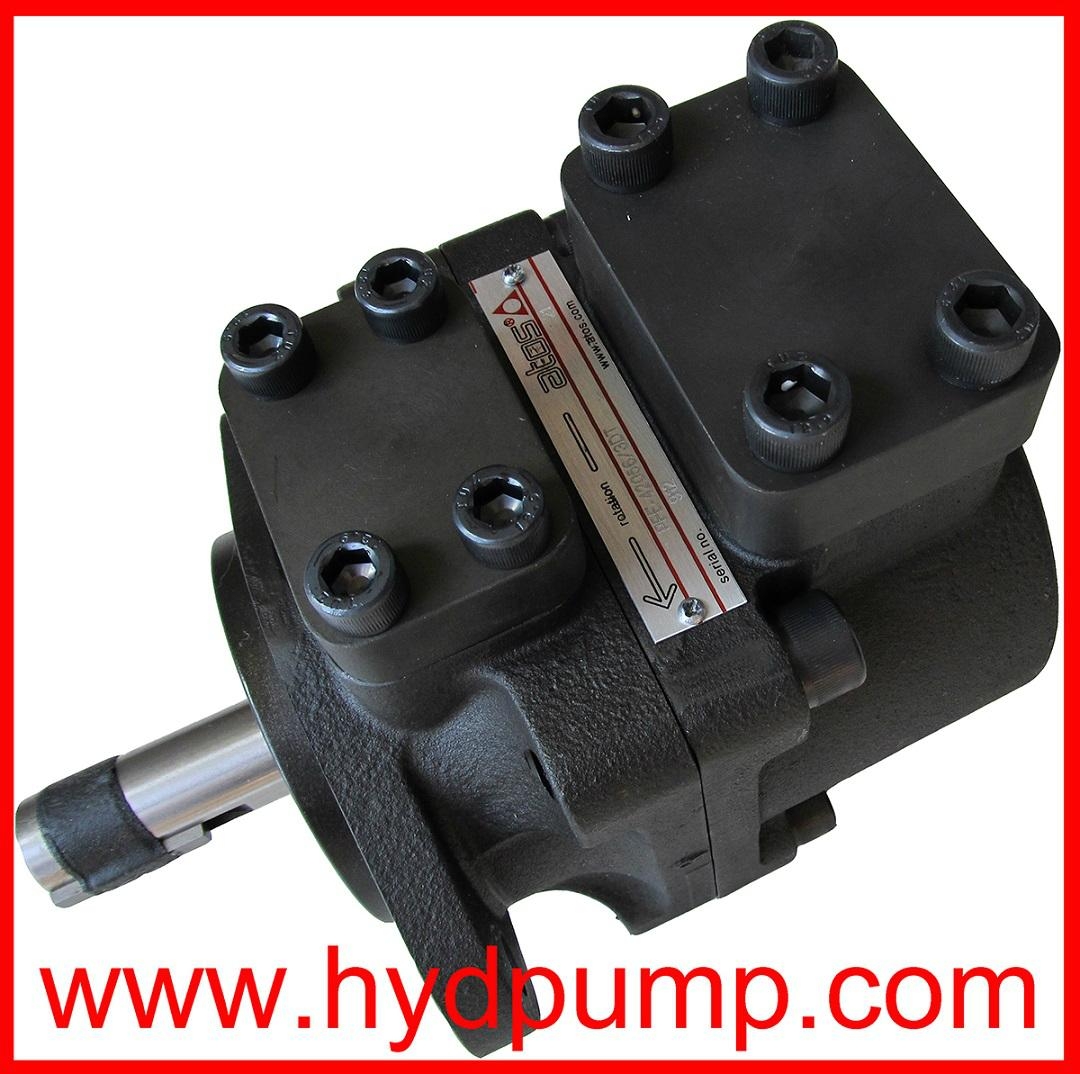 ATOS PFE PFED vane pump - PFE, PFED (China Manufacturer) - Other ...