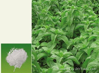 menthol - 89-78-1 - OBM (China Manufacturer) - Pharmaceutical Chemicals ...