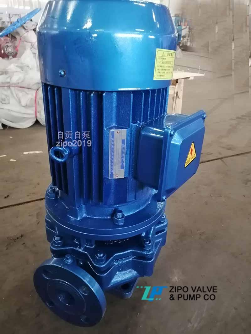 ZISG vertical pipeline centrifugal pump - ZP03 - ZP (China Manufacturer ...